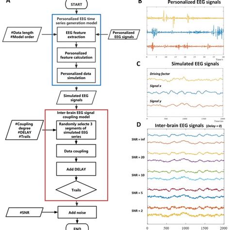 The Simulated Inter Brain Coupled Eeg Signals Generation Process A Download Scientific Diagram