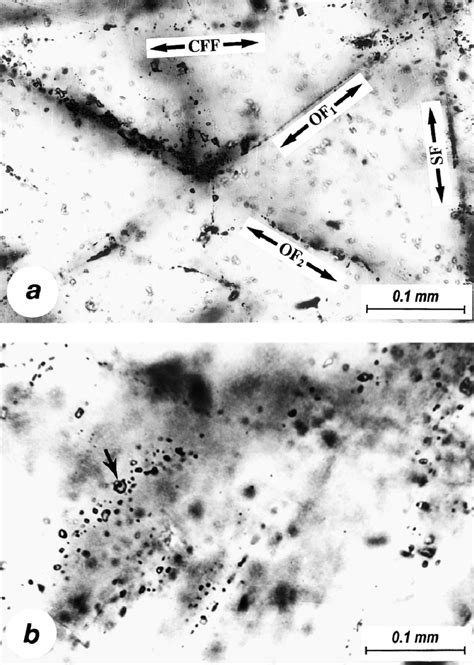 Mode Of Occurrence Of The Fluid Inclusions A Four Sets Of Secondary