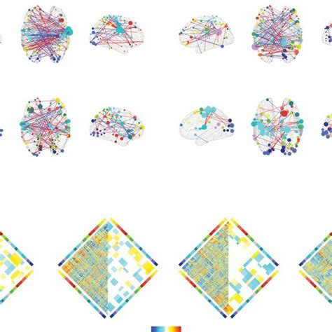 Modularity Maximization And Network States We Used An Event Detection Download Scientific