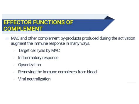 Complement System Microbiology Immune System PPT
