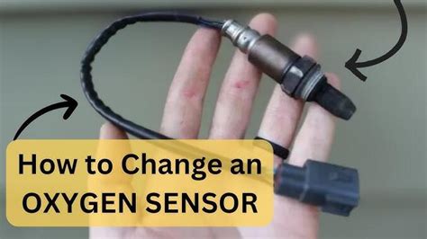 8 Crucial Facts About Oxygen Sensors You Can T Afford To Miss