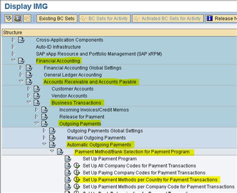 SAP FICO MODULE LEARNING Set Up Payment Methods Per Country For Payment Transactions