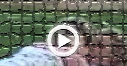 Par som har sex på golfbanan Golfblogg och Golfguide