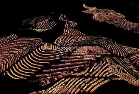 海南三亚：“火龙”旺 产业兴 人民图片网