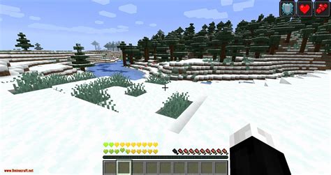 Health Overlay Mod 1 19 2 1 18 2 Displays Hearts In Different