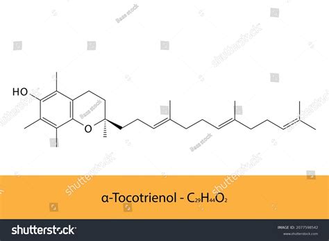 Alpha Tocotrienol Skeletal Structure Molecular Formula Stock Vector