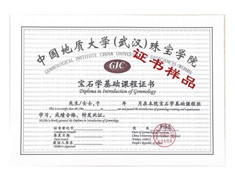 中国地质大学武汉珠宝学院GIC职业教育中心