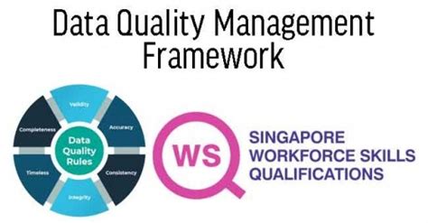 Wsq Data Quality Management Framework Tertiary Courses Singapore