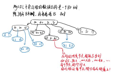 MySQL Database Index Transaction JDBC