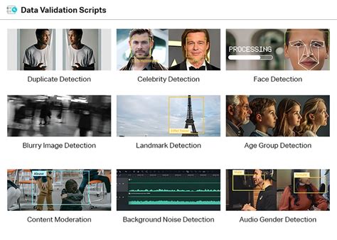 Top AI Training Data Platform With Expert Human Insights Shaip