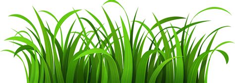 Free Grass Clip Art Black And White Download Free Grass Clip Art Black