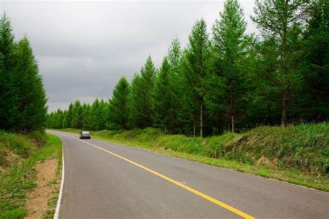 Get To Know K Nearest Neighbor Algorithm A Machine Learning Guide Knowledge And Science