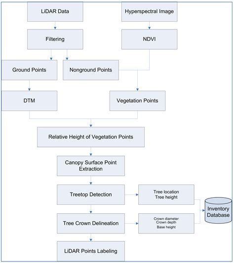 Remote Sensing Free Full Text Individual Tree Segmentation From Lidar Point Clouds For Urban