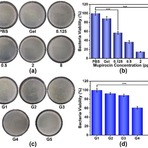 Characterizations Of Oha And Gel A 1 H−nmr Spectra Of Oha And Ha