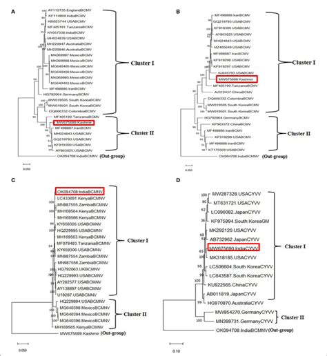 Figure E Phylogenetic Analysis Of Identified Viruses Using Whole