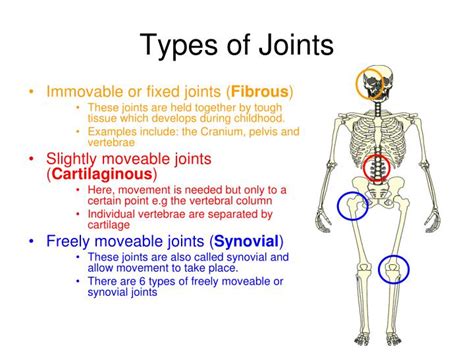 Joints And Its Types