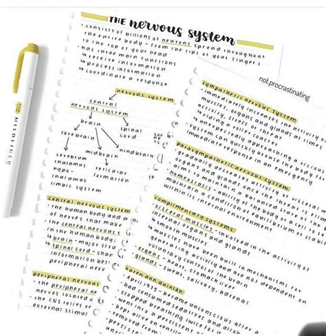 Pin de Valerie em note inspo Ideias para cadernos Ideias para escola Notas organização escolar