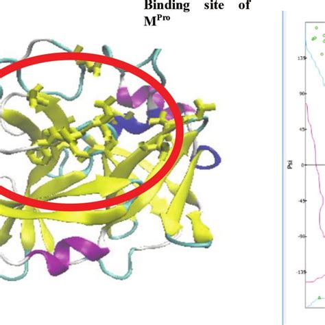 Structure Of The Ace 2 Receptor H Receptor Pdb Id 1r42 Along With