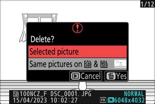 Deleting Pictures