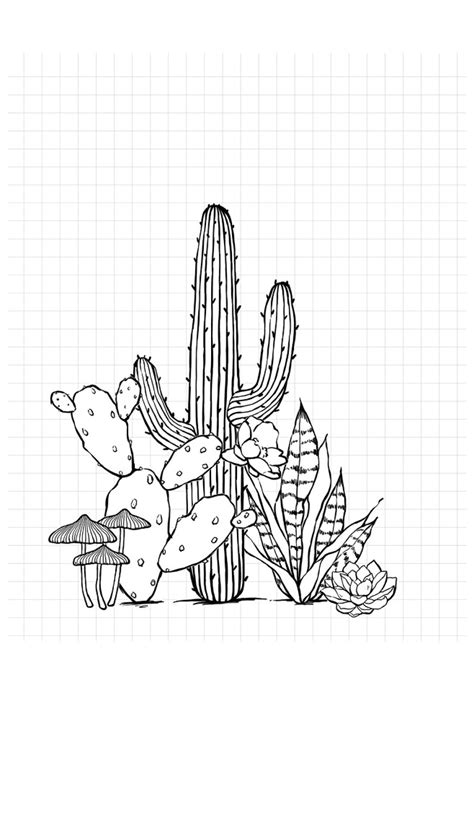 手绘仙人掌简笔插画