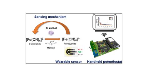 Rapid Detection Of Staphylococcus Aureus Using Paper Derived Electrochemical Biosensors