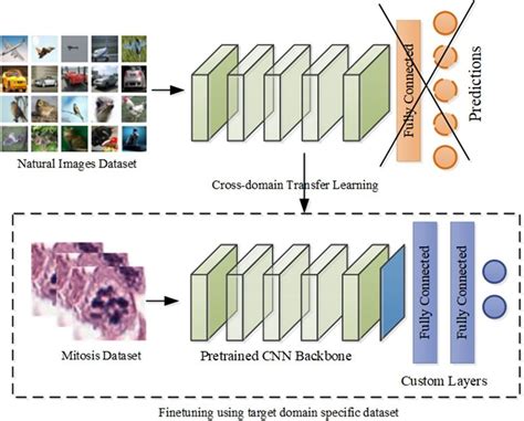 A Multi Phase Deep Cnn Based Mitosis Detection Framework For Breast Cancer Histopathological Images
