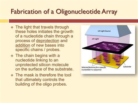 Dnamicroarraypresentation Dna Fingerprinting Dna Biotechnology Pdf