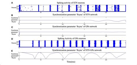 Highly Synchronized Activity Of Stn Gpe System At Low Dopamine Level