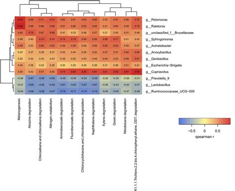 Heatmaps Showing Correlations Between Kegg Categories And Urinary