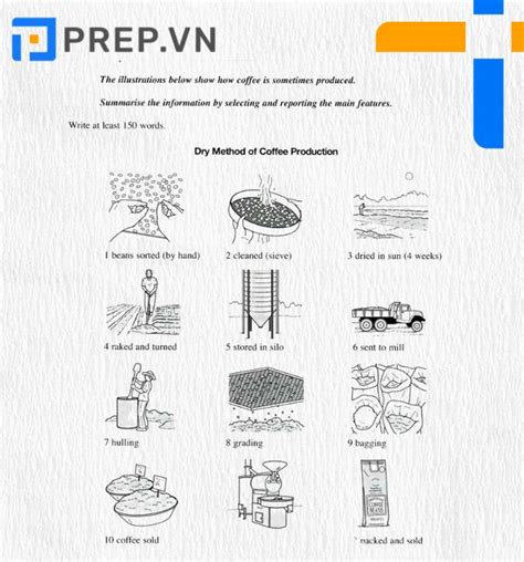 Giải mã đề IELTS Writing Task 1 Process Diagram khó 2023