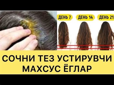 СОЧЛАР ВА КИПРИКЛАРНИ ТЕЗ УСТИРИШ СИРИ - YouTube
