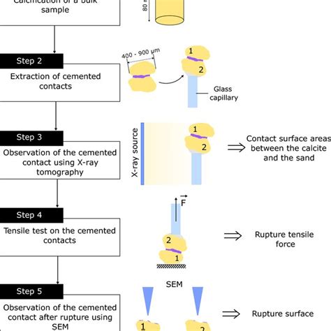 Main Steps Of The Adopted Experimental Approach Download Scientific Diagram