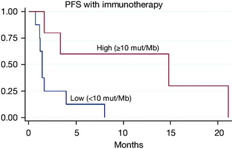 Median Pfs With Immunotherapy Stratified By Tumor Mutational Burden Download Scientific