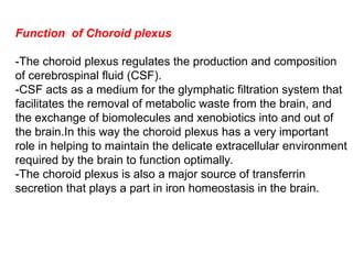 Meninges Choroid Plexus Brain Barriers Ppt