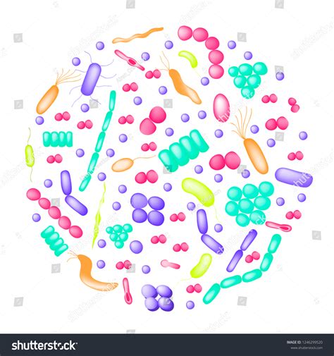 Hand Drawn Microbiology Set Arrangements Bacterial Stock Vector