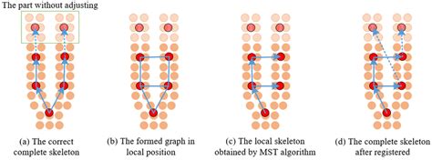 The Problem In The Skeleton Produced By Isttwn Algorithm Layering By Download Scientific