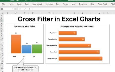 Conditional Formatting In Stylish Doughnut Chart PK An Excel Expert