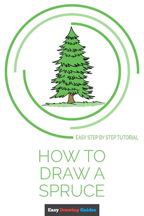 How To Draw A Spruce Tree Really Easy Drawing Tutorial Drawing Tutorial Easy Drawing