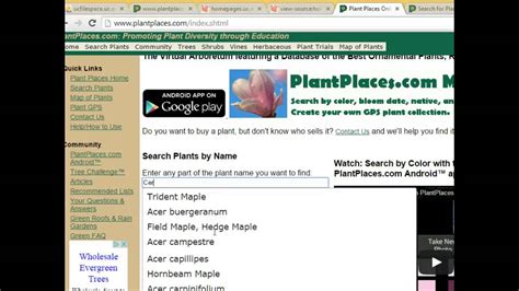Creating A Json Service Part 6 Querying Several Columns Youtube