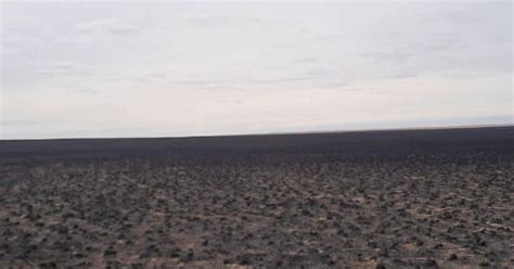 Сэлэнгэ Хэнтийд гарсан ой хээрийн түймрийг бүрэн унтраалаа Mnews Mn