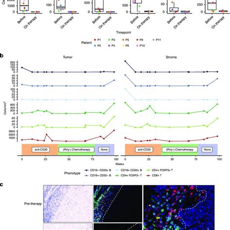 Human Melanoma Scrna Seq Data Verify Observed Functional Phenotypes Download Scientific