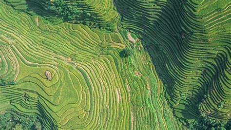 Netskope AI Labs Netskope