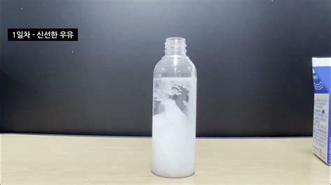 실험 1차시 상한우유와 신선한 우유 차이 비교하기 Youtube