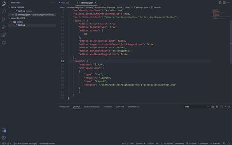 Why Can I Not Run My Lua File In Vs Code Rlua
