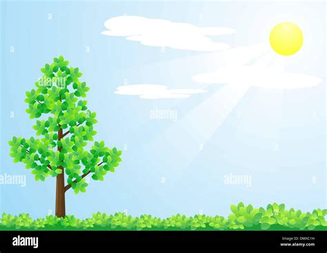 Tree And Sun Stock Vector Image Art Alamy