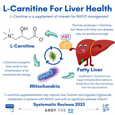 The Best Supplements For Fatty Liver Disease Andy The Rd