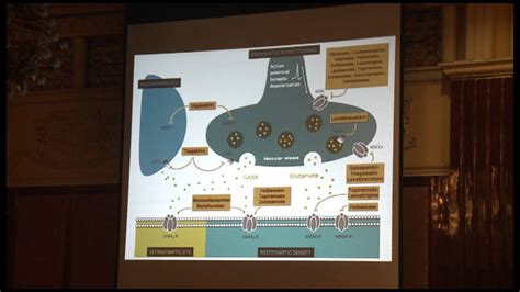 La convulsión como síntoma algoritmo terapéutico YouTube