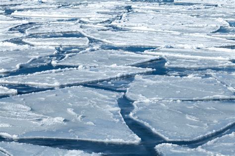 Do Fish Hibernate In The Winter American Oceans