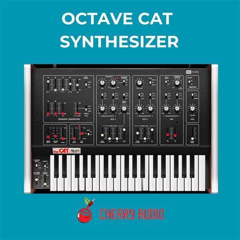 Octave Cat Synthesizer Producer Spot