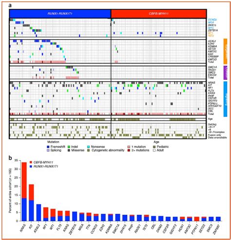 The Genomic Landscape Of Core Binding Factor Acute Myeloid Leukemias